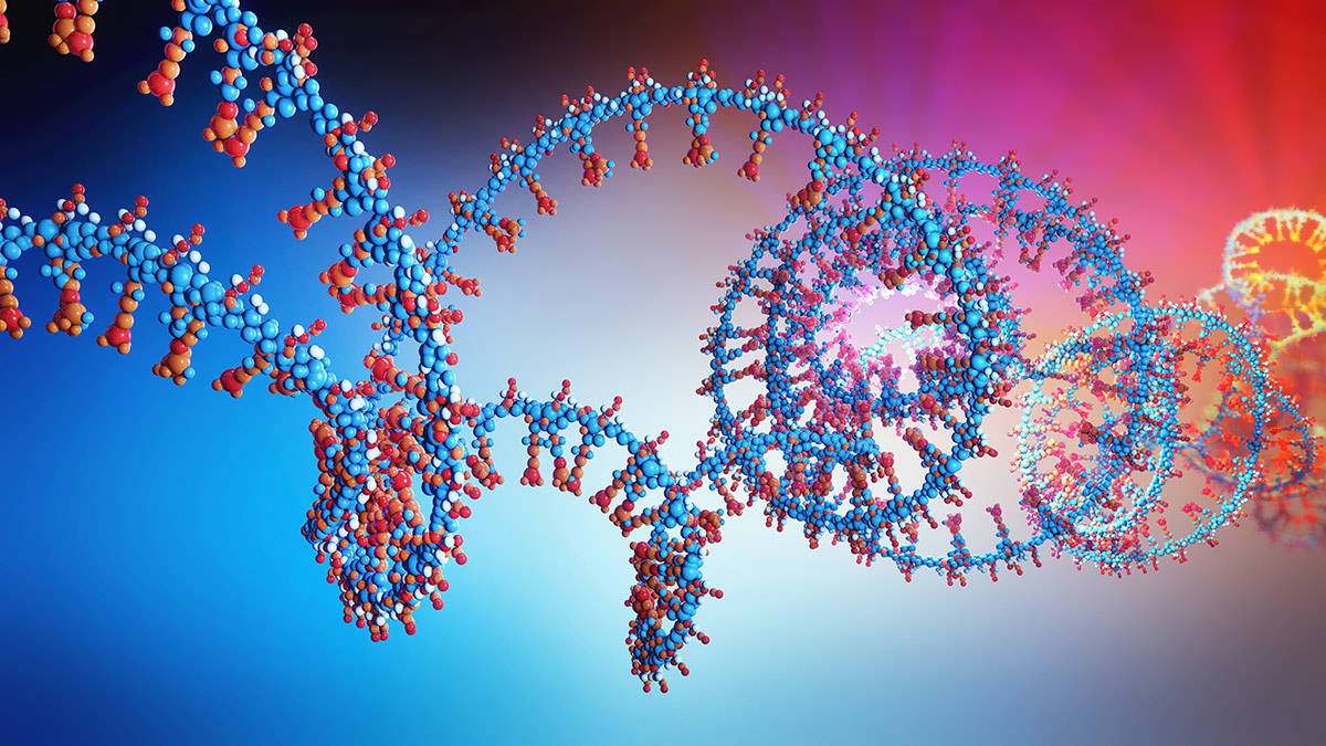 El Universal | Siete décadas de la doble hélice del ADN