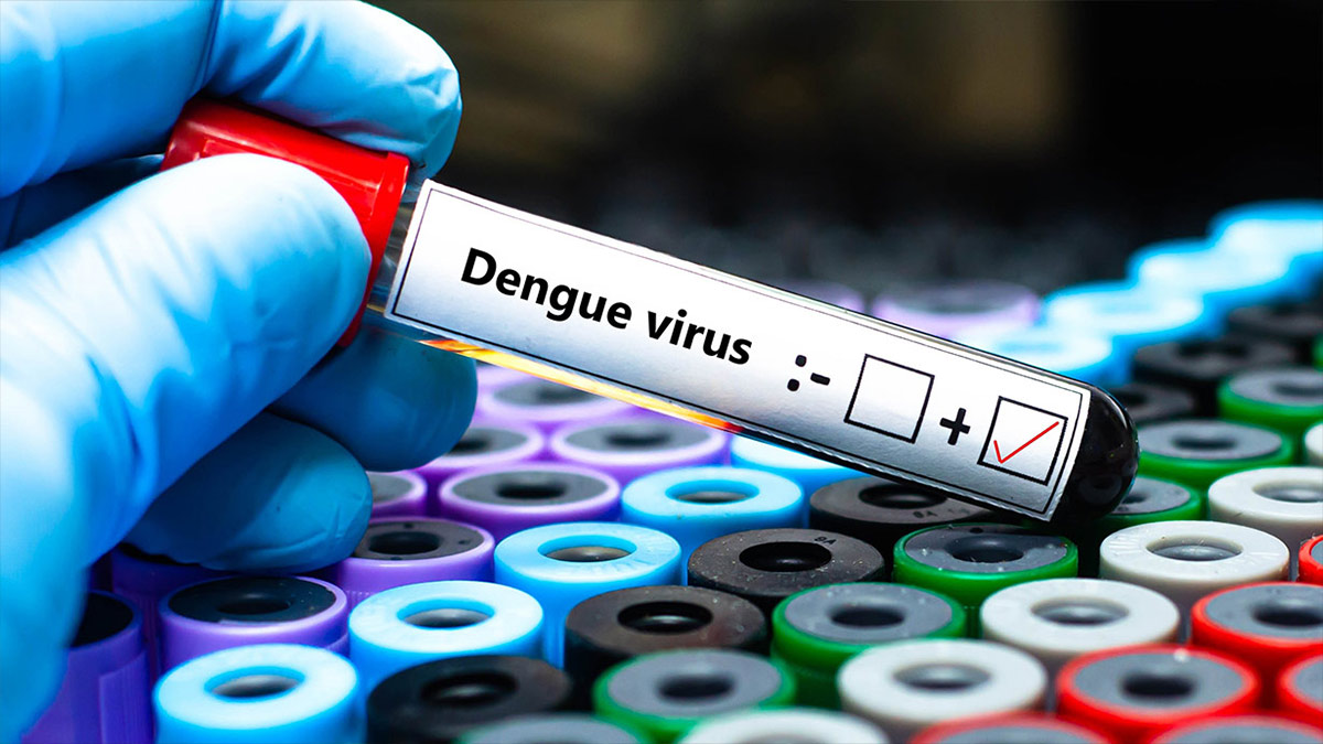 El Universal | Día mundial contra el dengue
